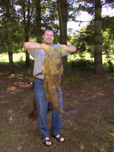 Catfish Grabbling Photo Gallery - Chattanoogan.com