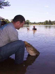 Catfish Grabbling Photo Gallery - Chattanoogan.com