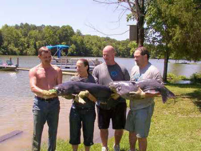 Catfish Grabbling Photo Gallery - Chattanoogan.com