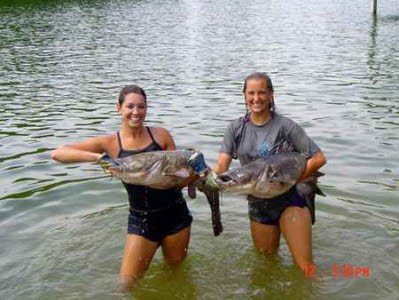 Grabbling Photo Gallery - Chattanoogan.com