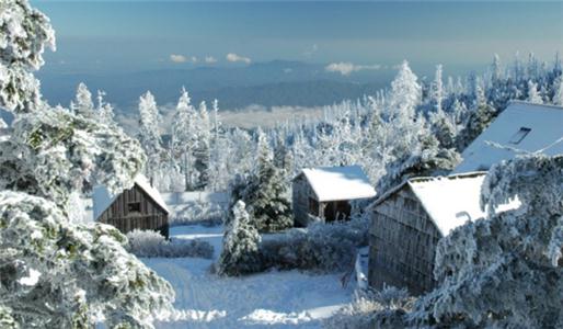 Roy Exum: The Leaves Of LeConte - Chattanoogan.com