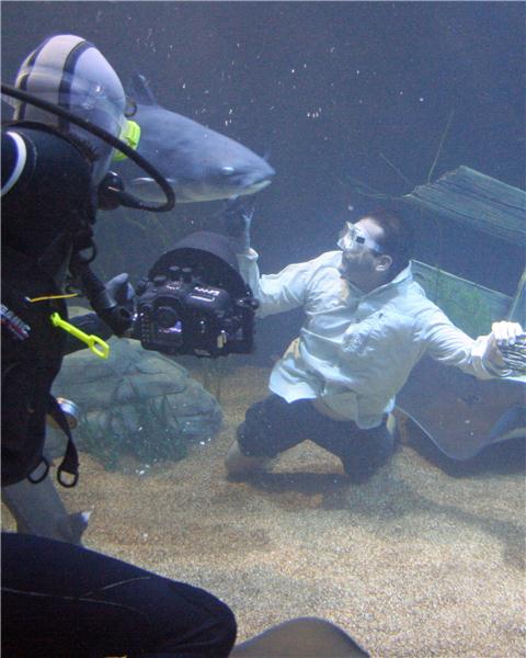 New Season Of Monster Fish Kicks Off With Volkswagen-Sized Catfish In ...