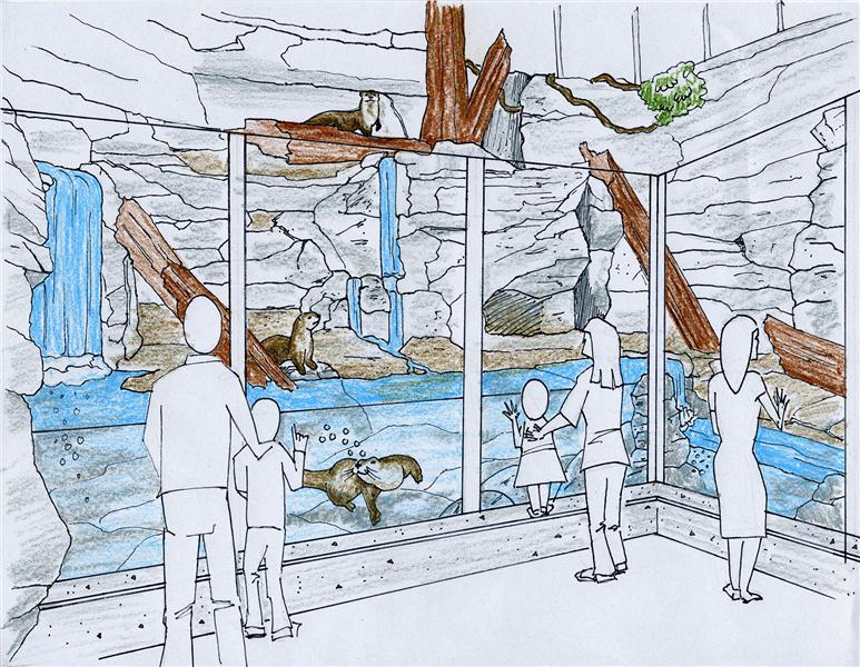 New Otter Exhibit Coming To The Tennessee Aquarium In Spring 2014 ...