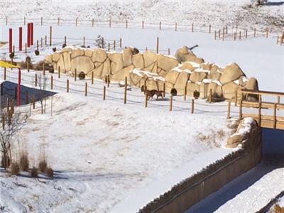 PHOTOS: More Chattanooga Snow Pictures - Chattanoogan.com