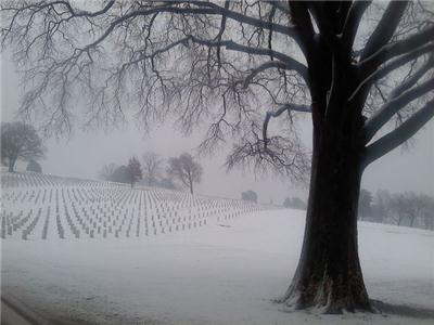 PHOTOS: More Chattanooga Area Snow Pictures - Chattanoogan.com