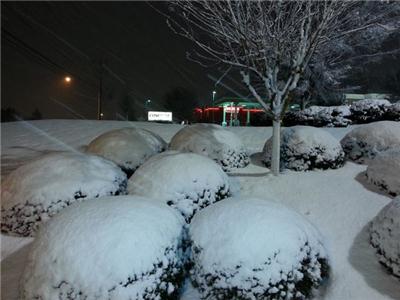 PHOTOS: More Chattanooga Area Snow Pictures - Chattanoogan.com