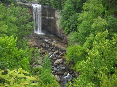 Lula Lake Land Trust Celebrates 20 Years Of Conservation - Chattanoogan.com