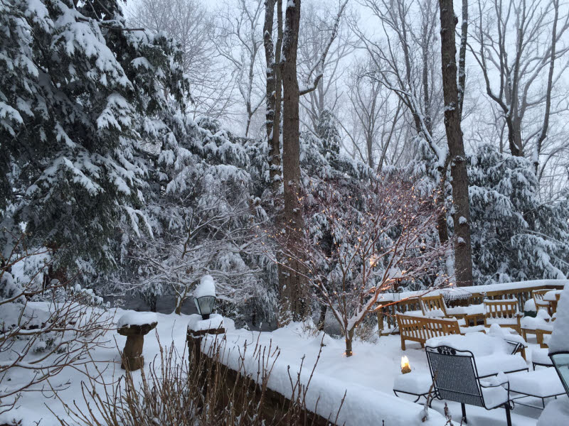 PHOTOS: Still More Snow In Chattanooga - Chattanoogan.com