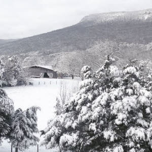 PHOTOS: Even More Snow In Chattanooga - Chattanoogan.com