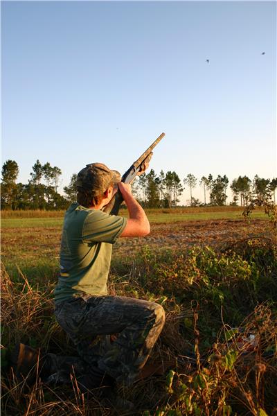 Georgia Dove Season Opens Saturday, Sept. 5 - Chattanoogan.com