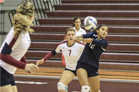 Lee Volleyball Wins In Five Over Christian Brothers - Chattanoogan.com