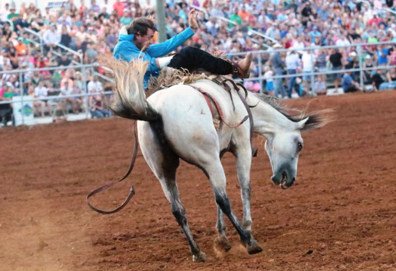 PHOTOS: St. Jude Rodeo At Yates Farm - Chattanoogan.com