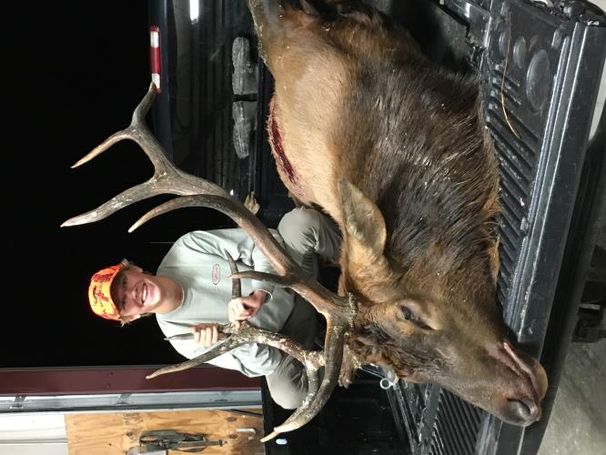 A Dozen Elk Harvested During 2018 Tennessee Elk Hunts - Chattanoogan.com