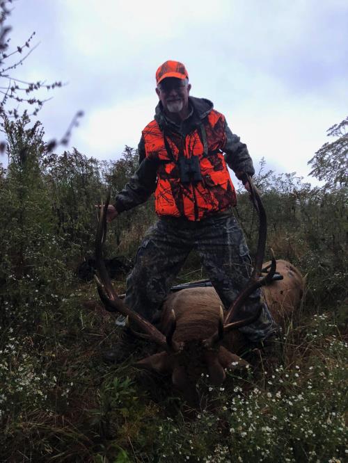 A Dozen Elk Harvested During 2018 Tennessee Elk Hunts - Chattanoogan.com