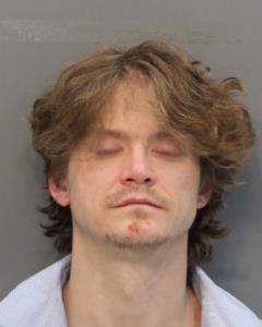 Lance Richard Brock To Serve 30 Months On Gun Charge - Chattanoogan.com