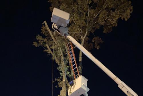 Worker Stuck In Boom High In The Trees Climbs Safely Down Ladder To ...