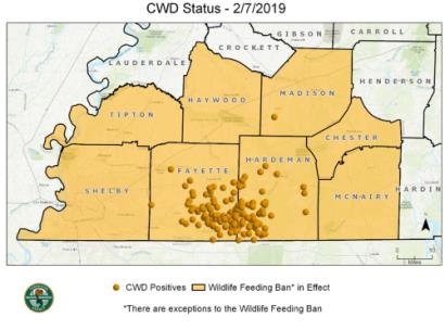 CWD Deer Sampling Successful; Zone Expanded - Chattanoogan.com