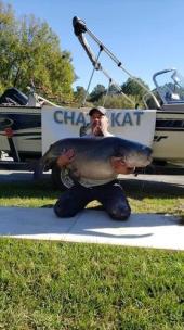 New Georgia State Record Blue Catfish Caught In Stewart County ...