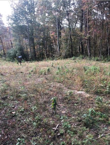 Prentice Cooper Wildlife Management Area Receives Grant For Increasing ...