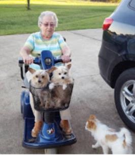 Watts, Vivian Alice Wallin (LaFayette) - Chattanoogan.com