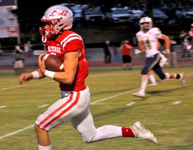 Perry Passes, Runs Owls Past Trojans, 27-7 - Chattanoogan.com