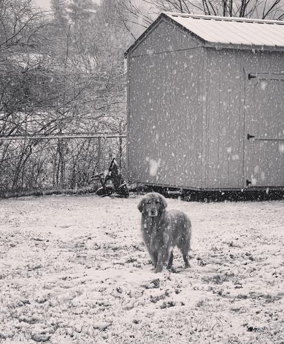 PHOTOS: Snow In The Chattanooga Area - Chattanoogan.com
