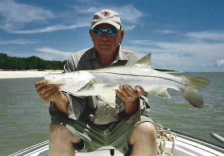 Mealey, Marvin Eugene - Chattanoogan.com