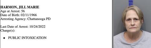 Latest Hamilton County Arrest Report - Chattanoogan.com