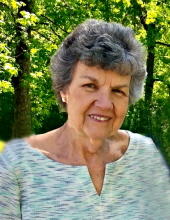 Douglas, Donna Suzanne Denson (Dalton) - Chattanoogan.com