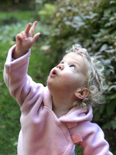 Ferris Robinson: Life With MJ: Learning To Wissen - Chattanoogan.com