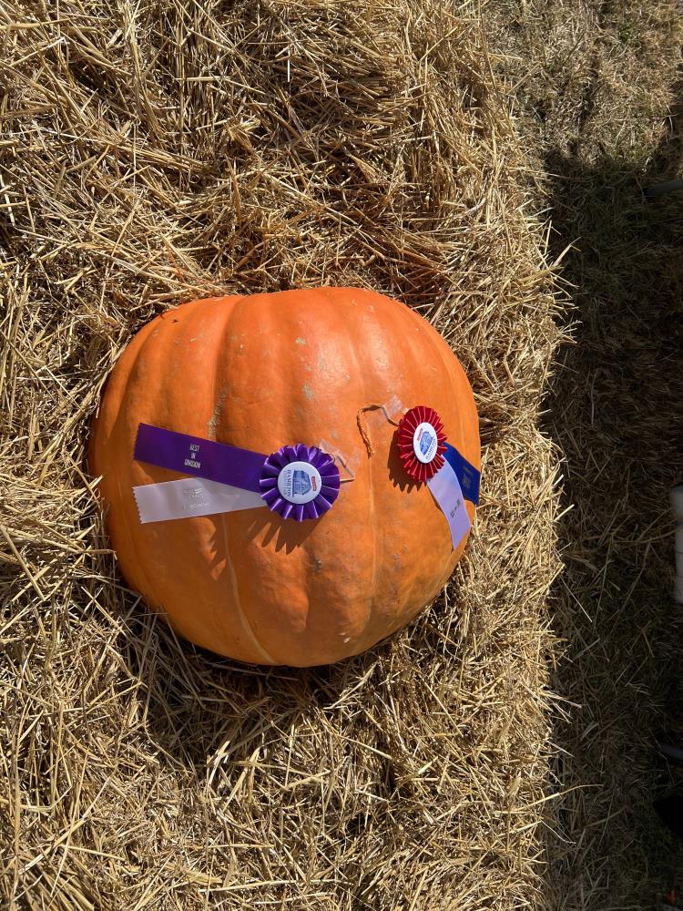 PHOTOS: Hamilton County Fair - Chattanoogan.com