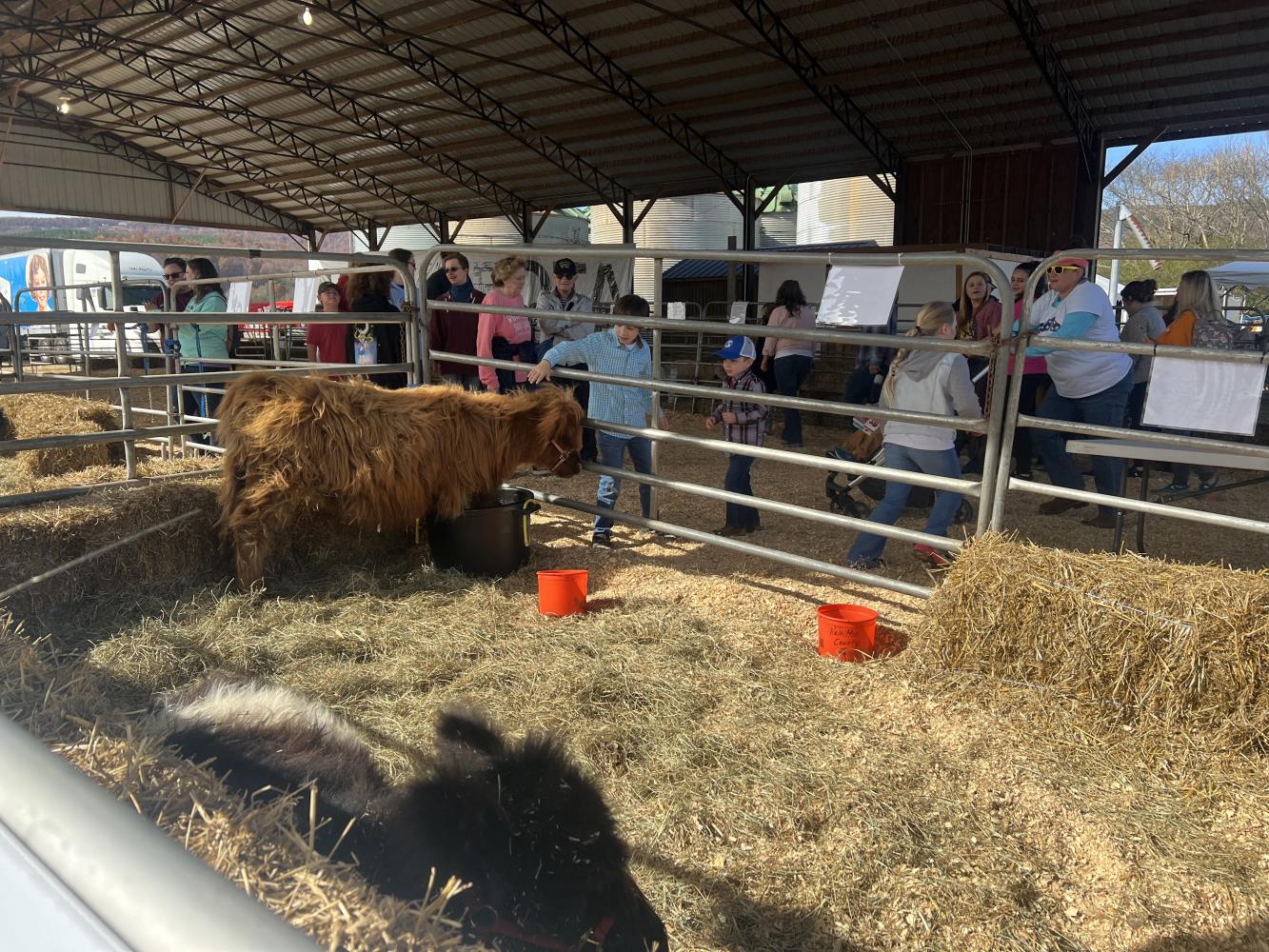 PHOTOS: Hamilton County Fair - Chattanoogan.com