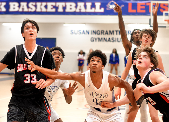 PHOTOS: Red Bank Basketball Hosts Signal Mountain In 6-AAA Tournament ...