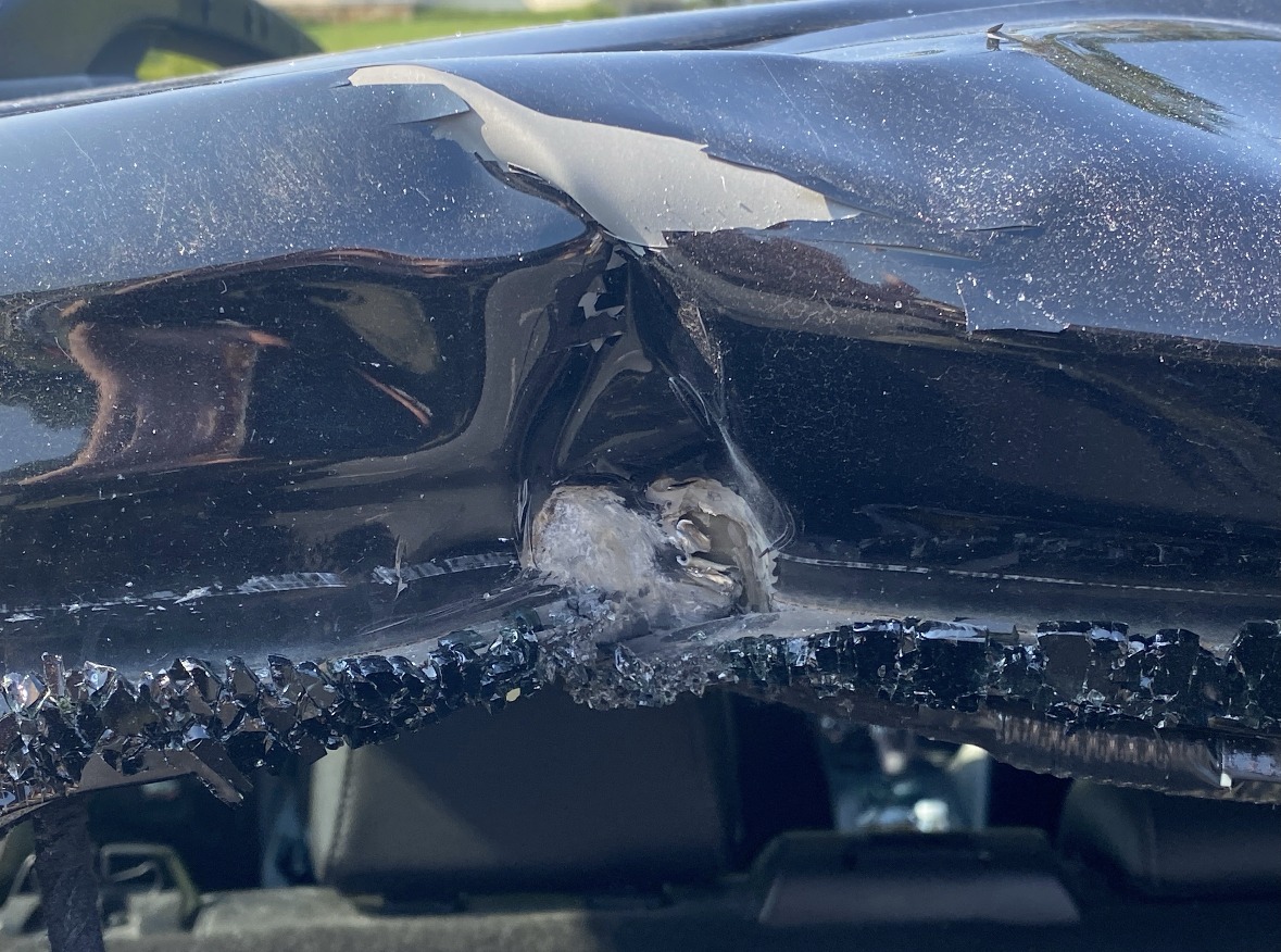 Heavy Object That Fell On SUV At Rhea County High Was From Tree Service ...