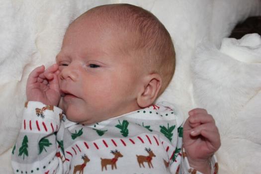 Kelly, Christopher Anthony - Chattanoogan.com