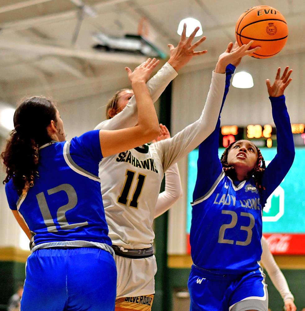 PHOTOS: Silverdale Girls Host Red Bank As Thanksgiving Tournament ...