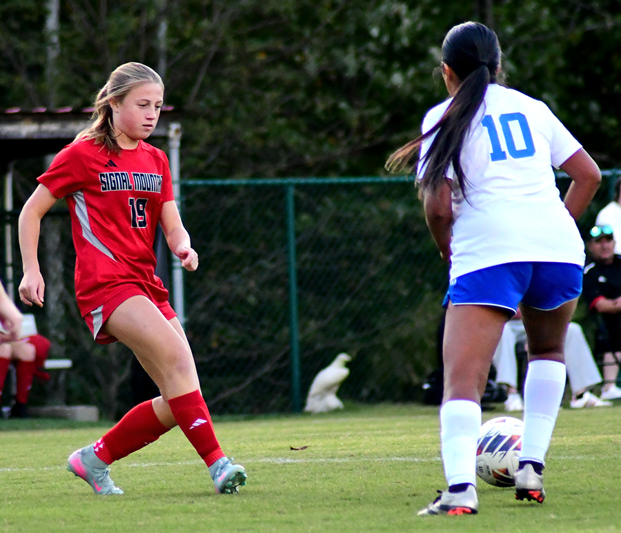 PHOTOS: District 6-AAA Soccer Semifinals Red Bank At Signal Mountain ...