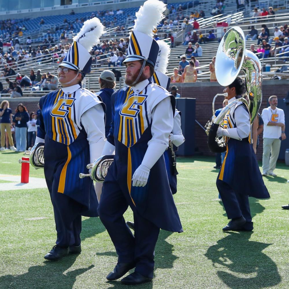 PHOTOS: UTC Football Win Big Over Furman - Chattanoogan.com