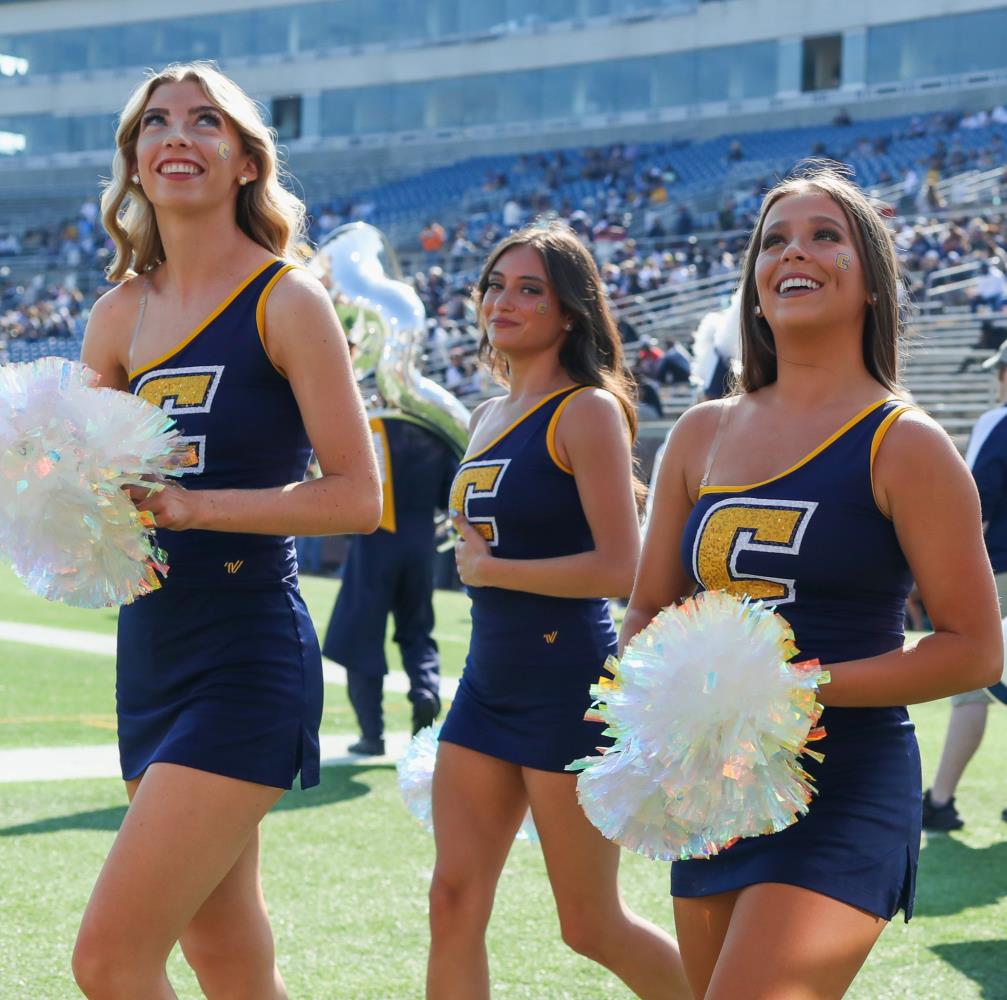 PHOTOS: UTC Football Win Big Over Furman - Chattanoogan.com