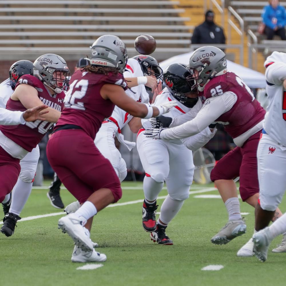 PHOTOS: Alcoa Vs. Pearl Cohn, 4A Championship - Chattanoogan.com