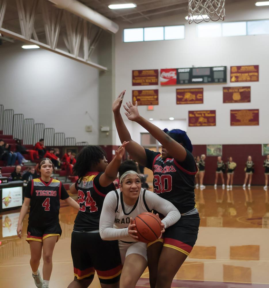 PHOTOS: Bradley Central Girls - Howard, 6-AAAA Tournament ...