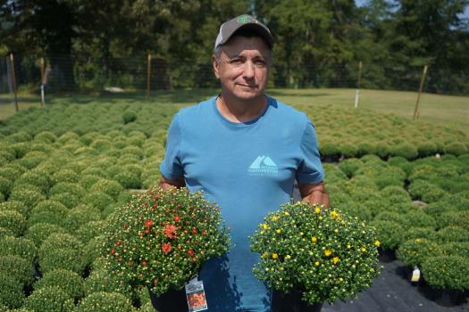 GNTC To Host Fall Mum Sale, Sept. 15-18 - Chattanoogan.com