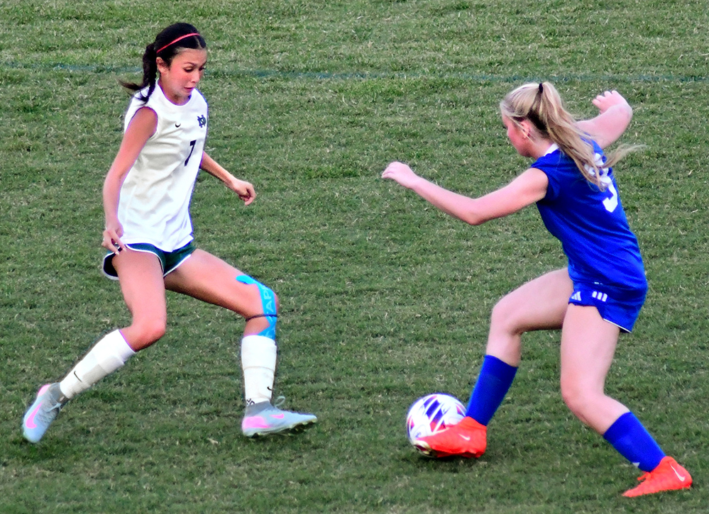PHOTOS: CSAS Soccer Hosts Notre Dame - Chattanoogan.com