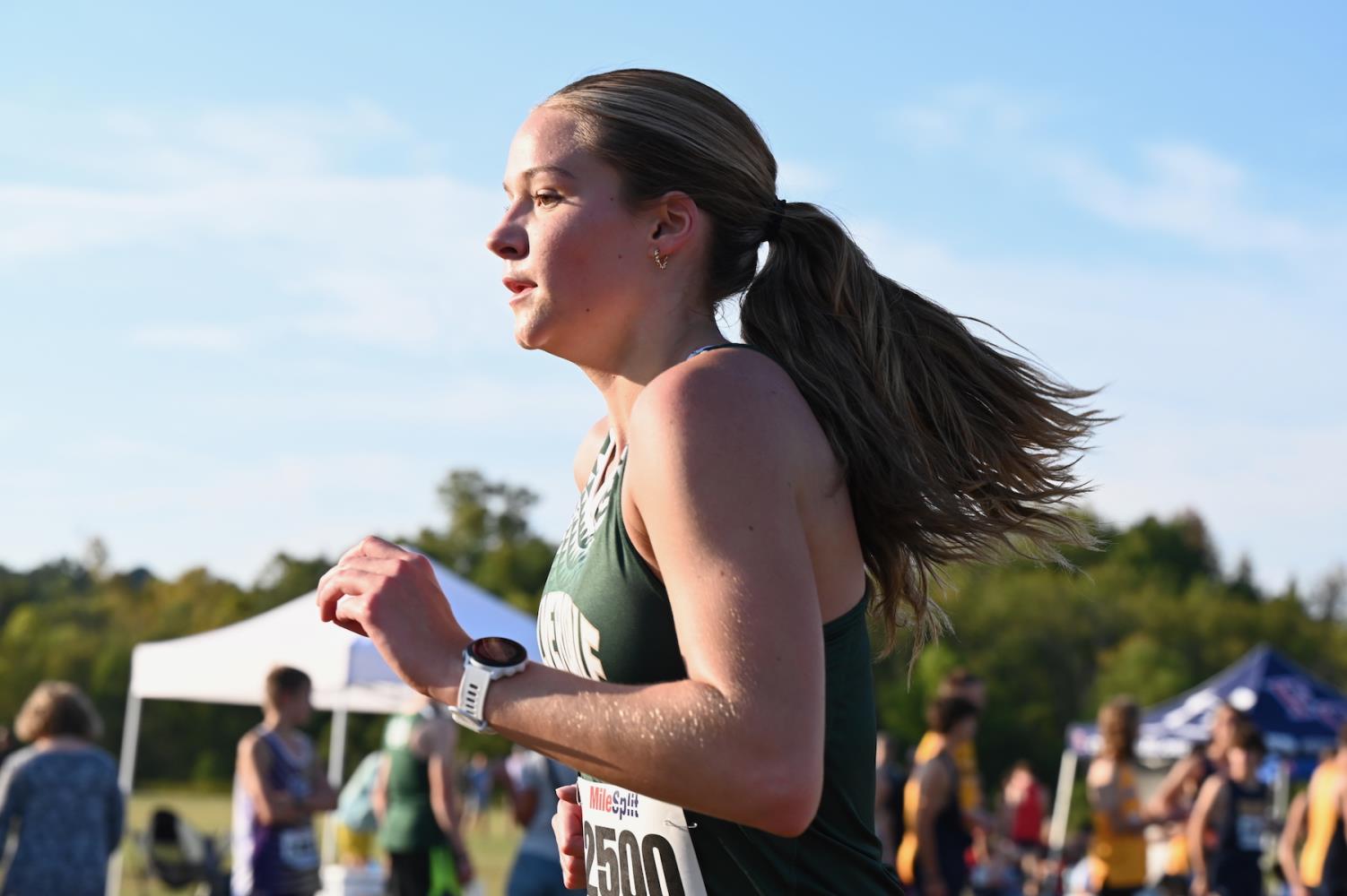MORE PHOTOS: Woodland Park Cross Country Meet - Chattanoogan.com