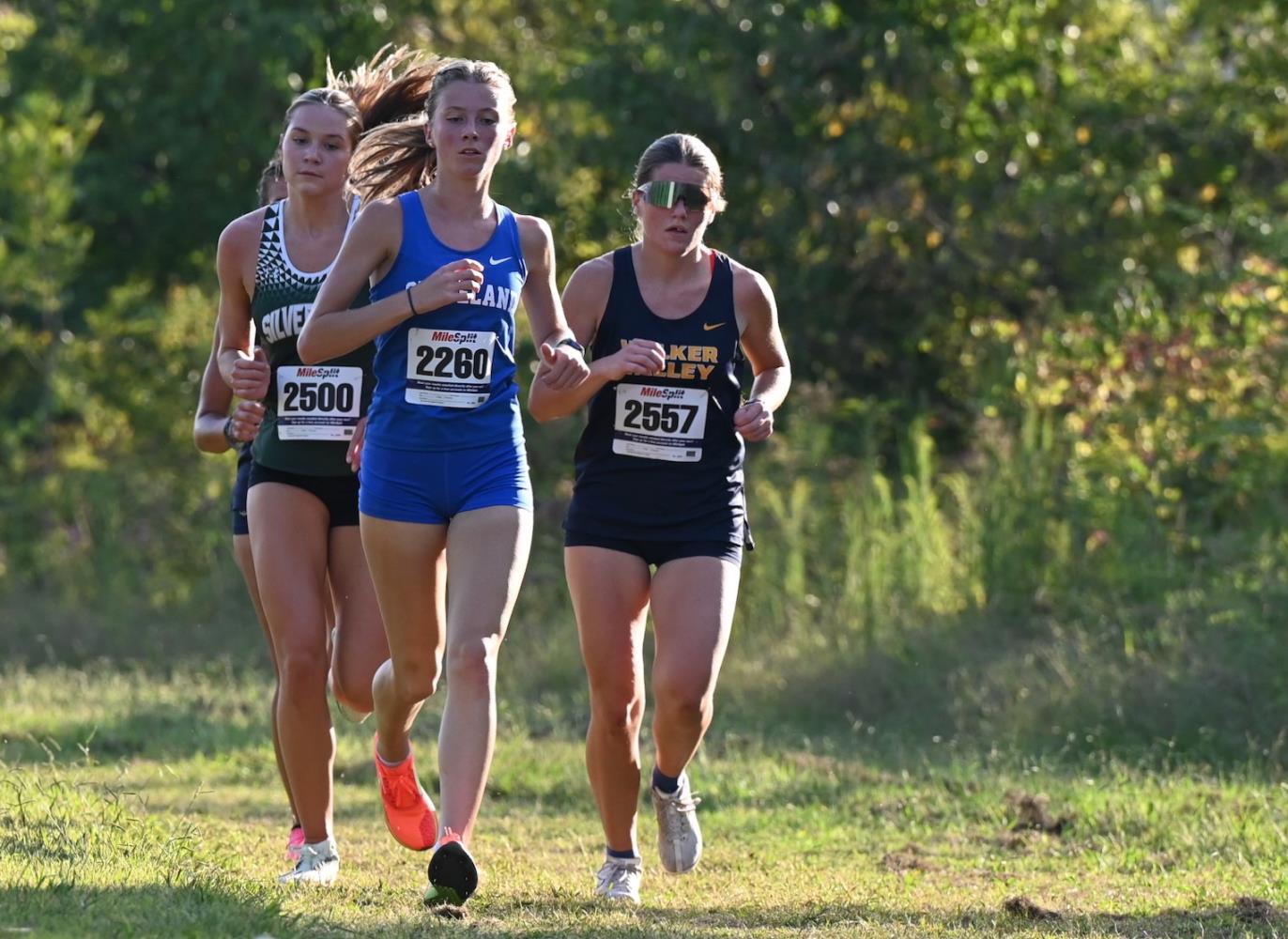 MORE PHOTOS: Woodland Park Cross Country Meet - Chattanoogan.com