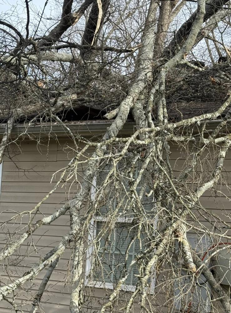 Large Tree Falls On Home Causing Significant Damage Wednesday Afternoon ...