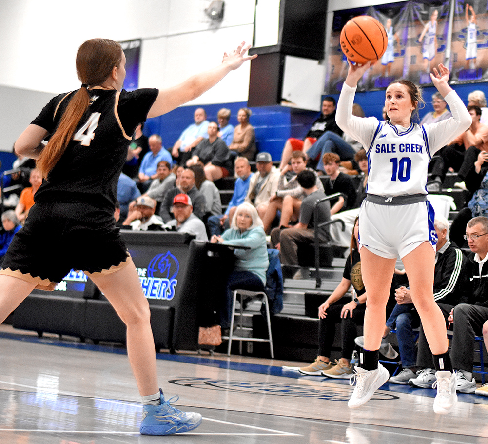 PHOTOS: Sale Creek Hosts Lookout Valley In Region 3A Playoff ...