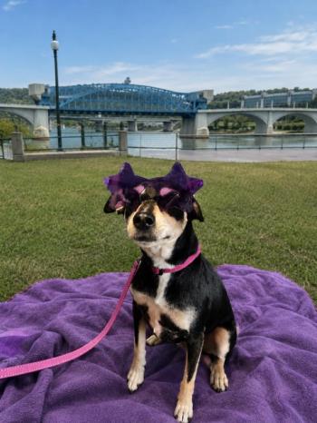 TVFCU Riverfront Night Launches Saturday At Ross's Landing ...