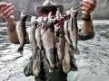 White Oak Mountain Ranger: Minnows And Country Stores - Chattanoogan.com
