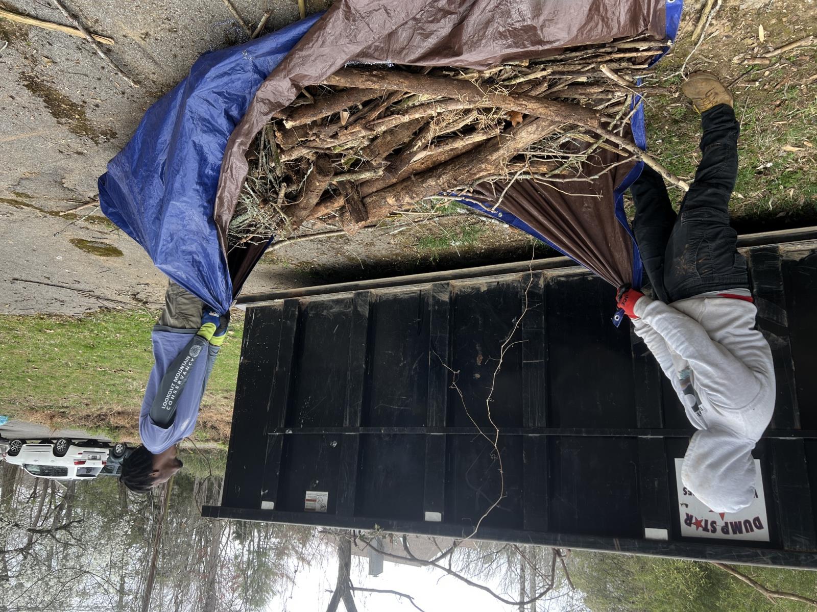 Life With Ferris: Weed Wrangle - Chattanoogan.com